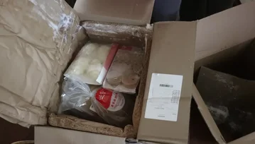 WILDGRAIN Bread Subscription Box Review: Is it Worth the Hype?