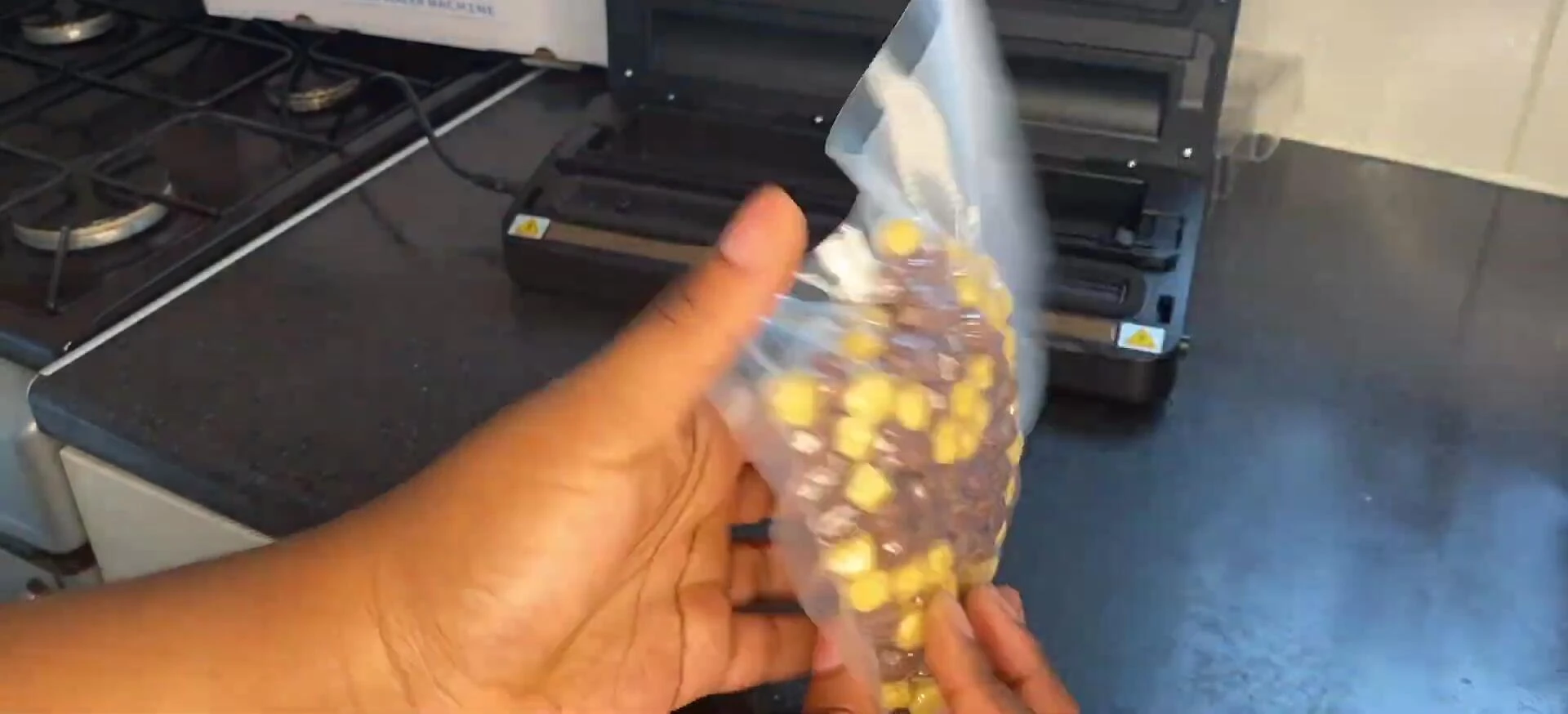 Preserve Food & Maximize Fridge Space: Alacris Vacuum Sealer Guide