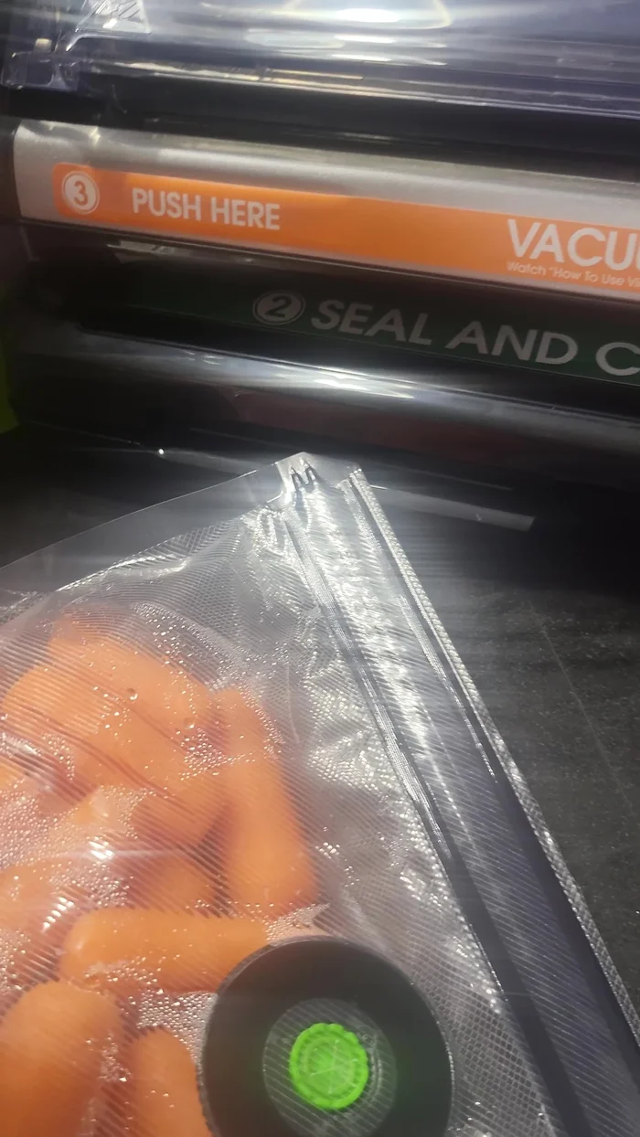 FoodSaver Reusable Vacuum Zipper Bags: A Comprehensive Review